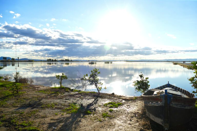 Day Trip to the Albufera Nature Reserve Outside Valencia | bye:myself