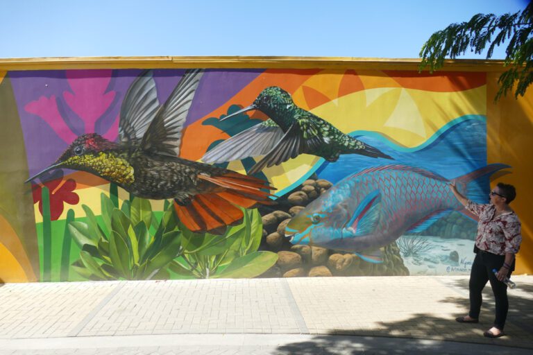 ARUBA: The Powerful Murals of San Nicolas | bye:myself