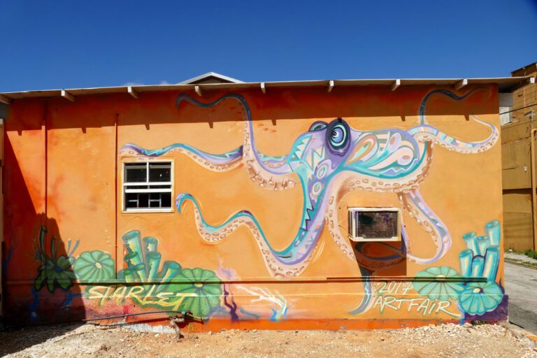 What Not to Miss in ARUBA, the Caribbean A-Lister | bye:myself