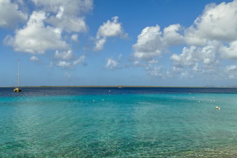 One Week in BONAIRE: The Best Activities Beyond Diving
