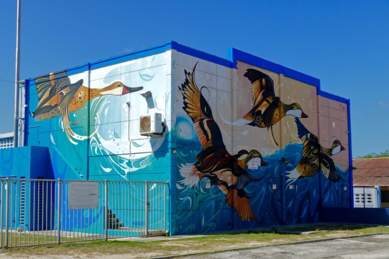 ARUBA: The Powerful Murals of San Nicolas | bye:myself