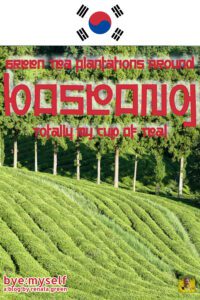 Green Tea Plantations in BOSEONG: Totally My Cup Of Tea! | bye:myself