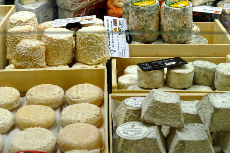 What not to miss in one day in Nîmes | bye:myself